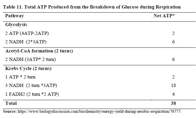 6.4. Electron Transport System – Sasakawa Africa Association